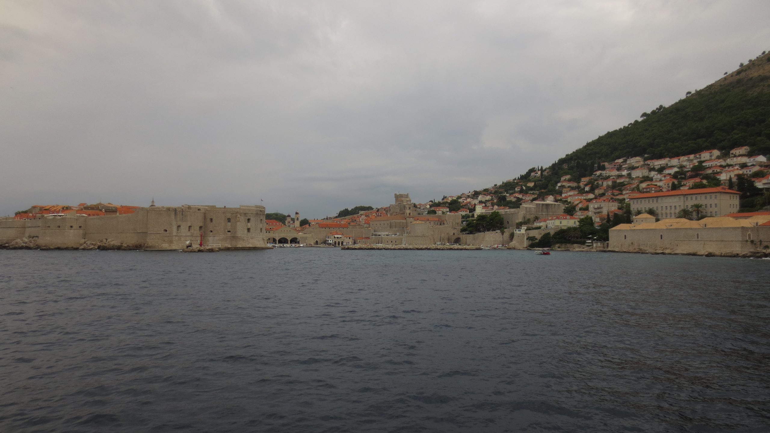 Dubrovnik FestiWine - Gric gric